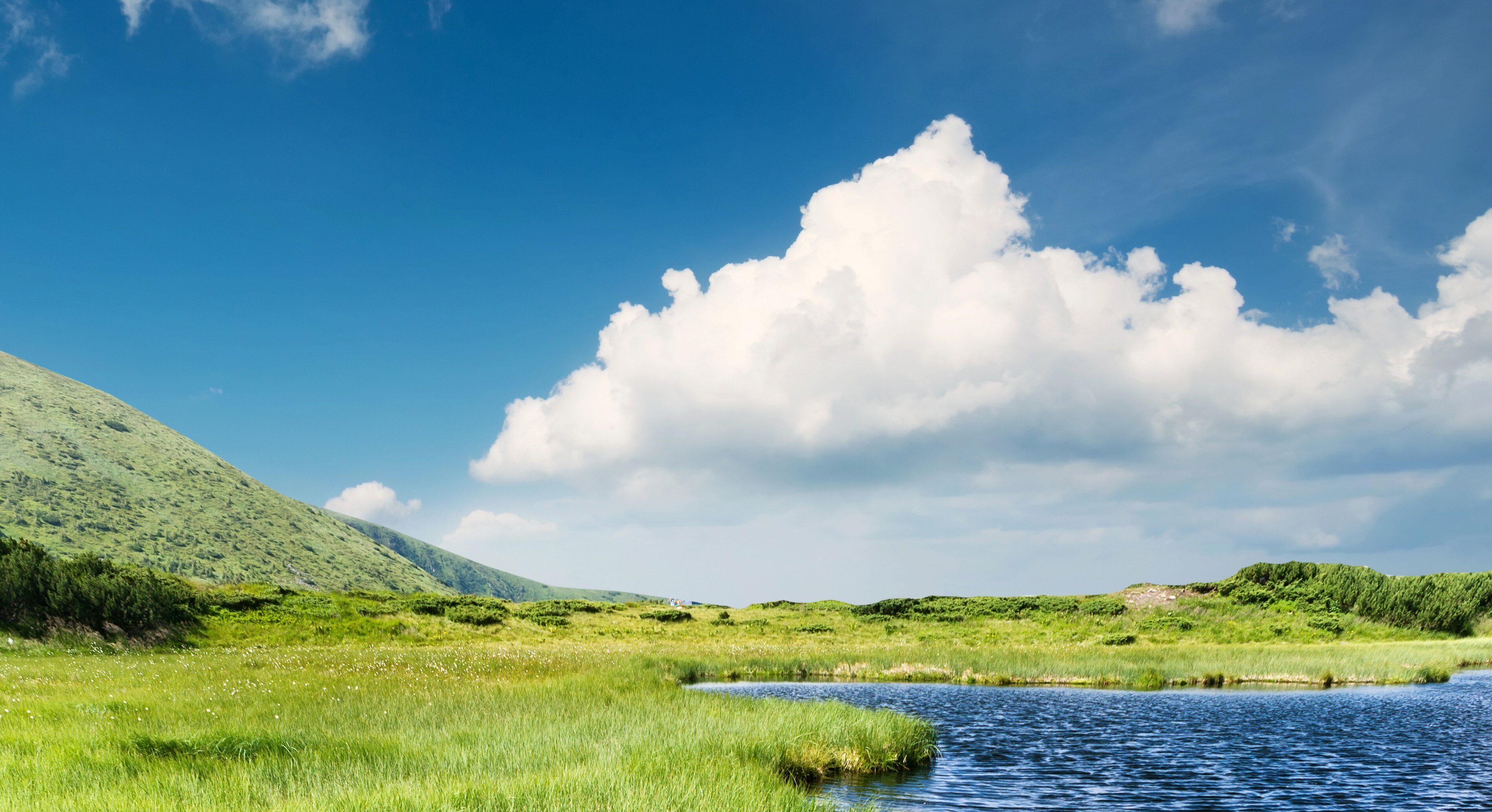 ART-PFAS Technology Digital Team